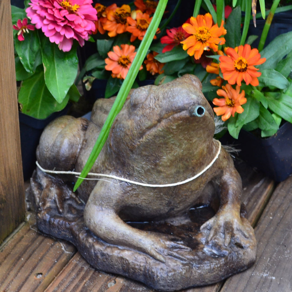 Frog Pond Spitter – Panhandle Palm & Rock