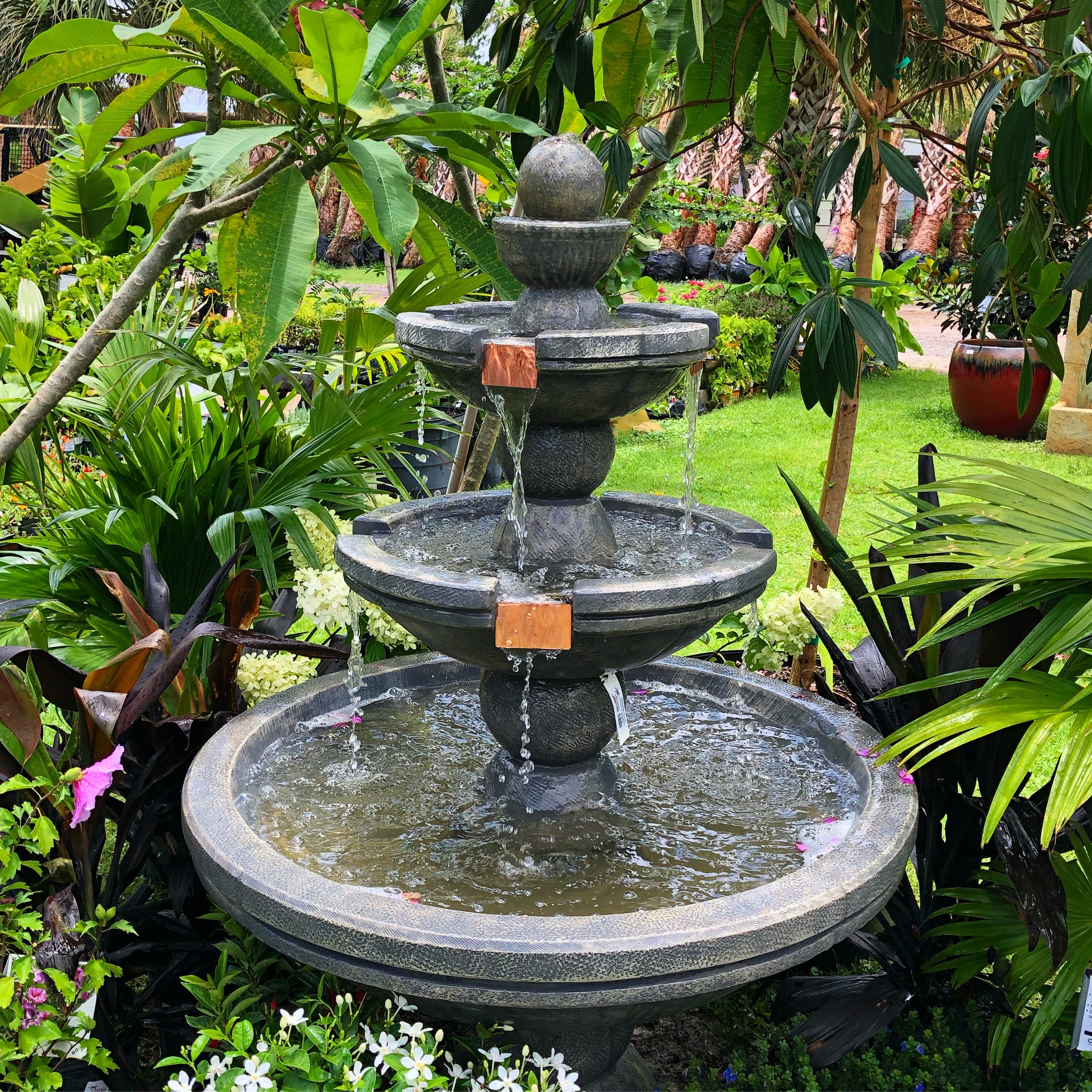 Panhandle Palm & Rock