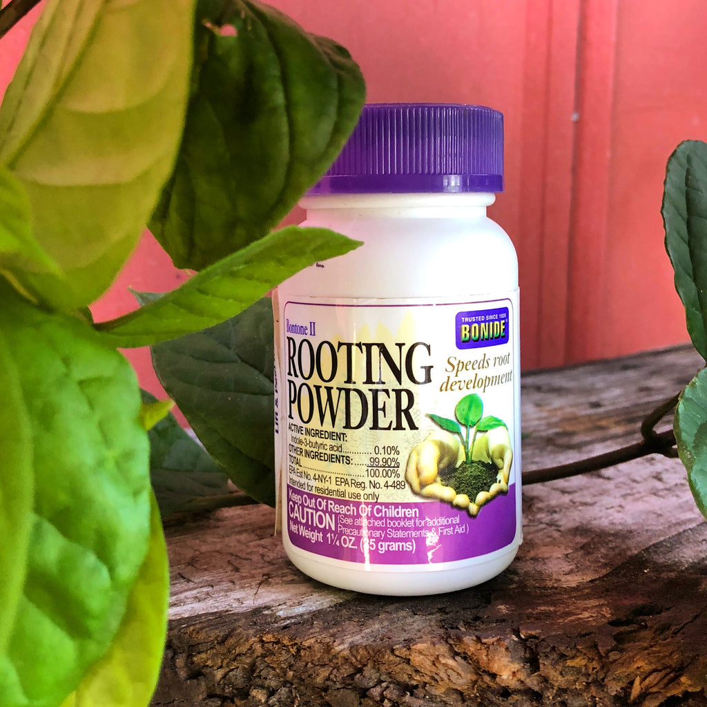 Bontone II Rooting Powder (1.25 oz) – Panhandle Palm & Rock